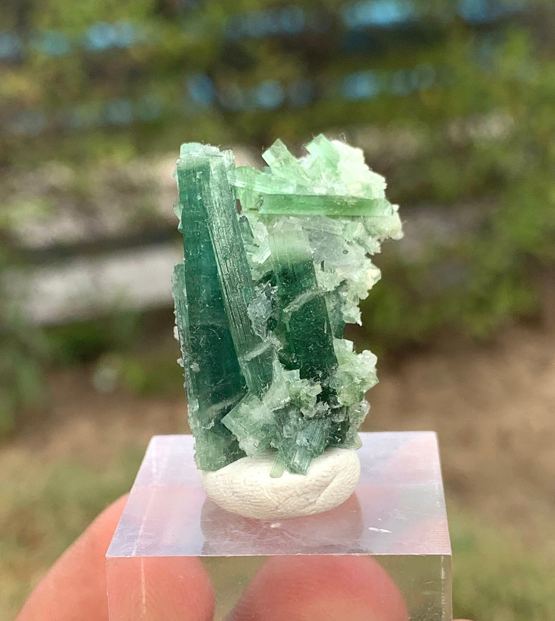 Green Tourmaline Terminated Crystals With Feldspar / Cleavelandite ...