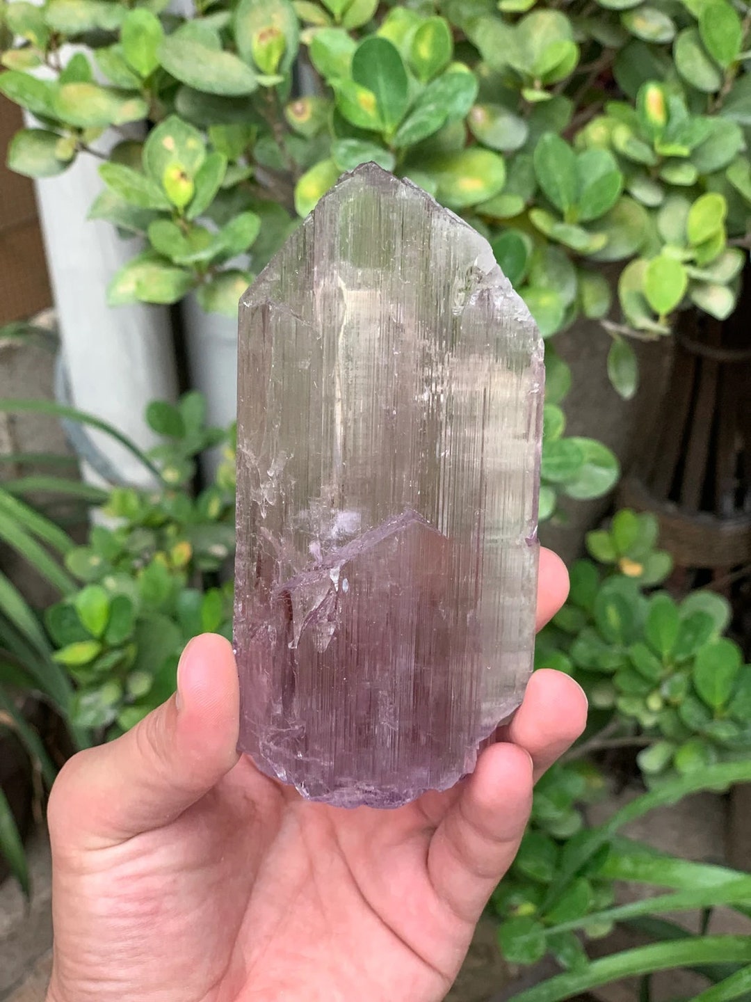 Fully Terminated Natural Clear Pink / Purple Spodumene Var AKA Kunzite ...