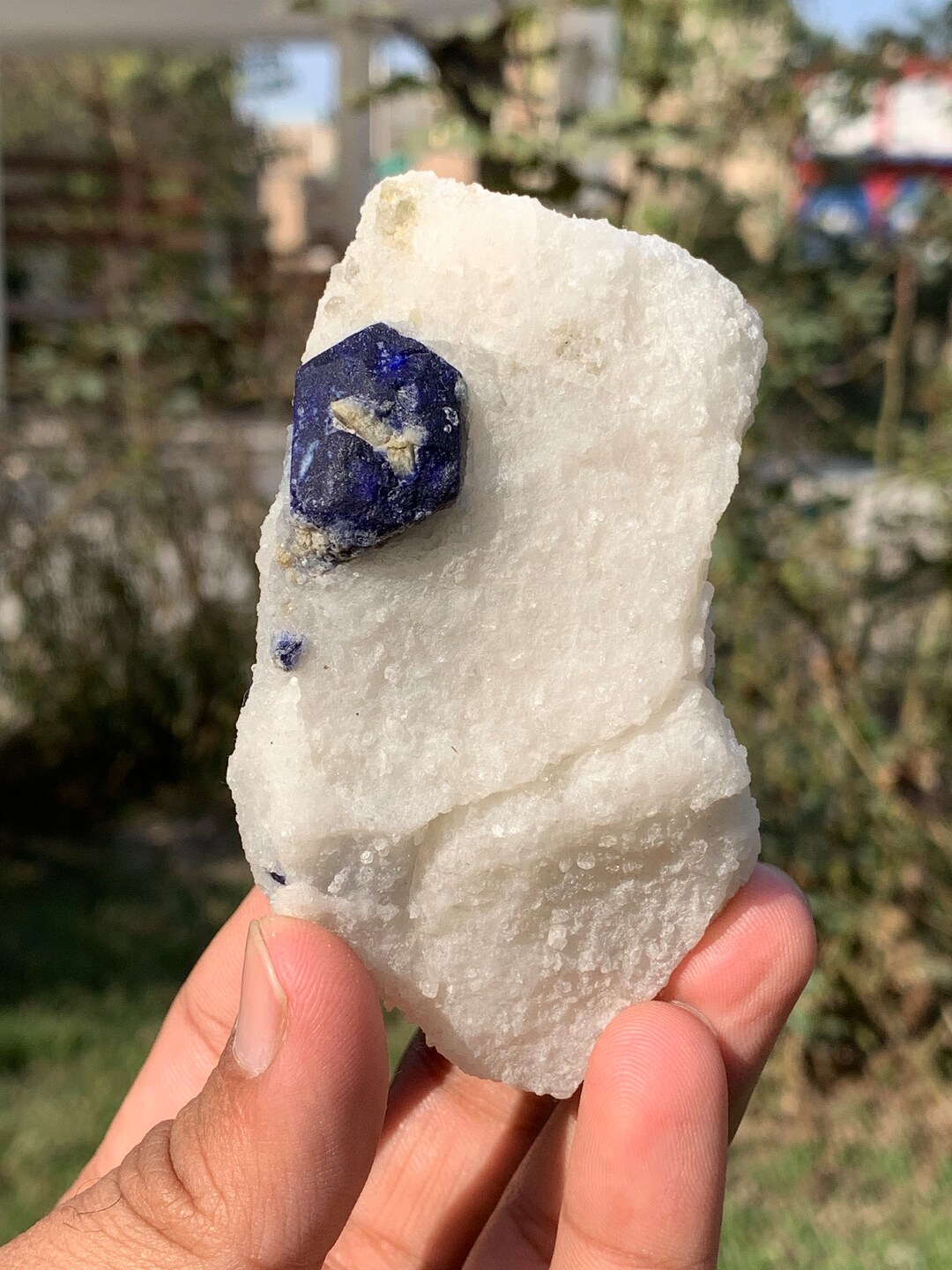 Rich Blue Lazurite Terminated Crystal Milky White Calcite Combine ...