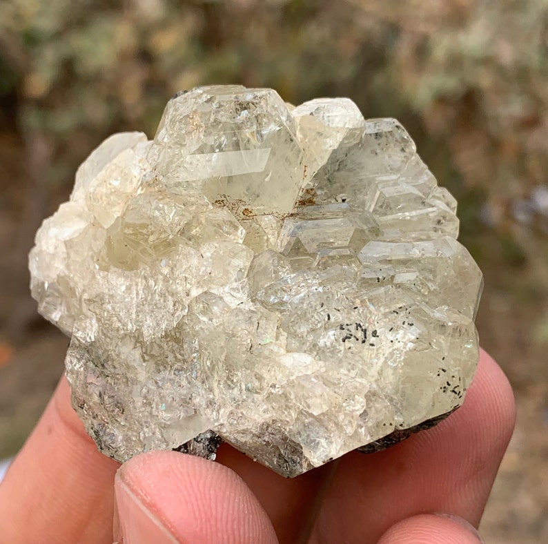 Yellow Apatite / Fluorapatite Step Termination Crystals With Chlorite ...