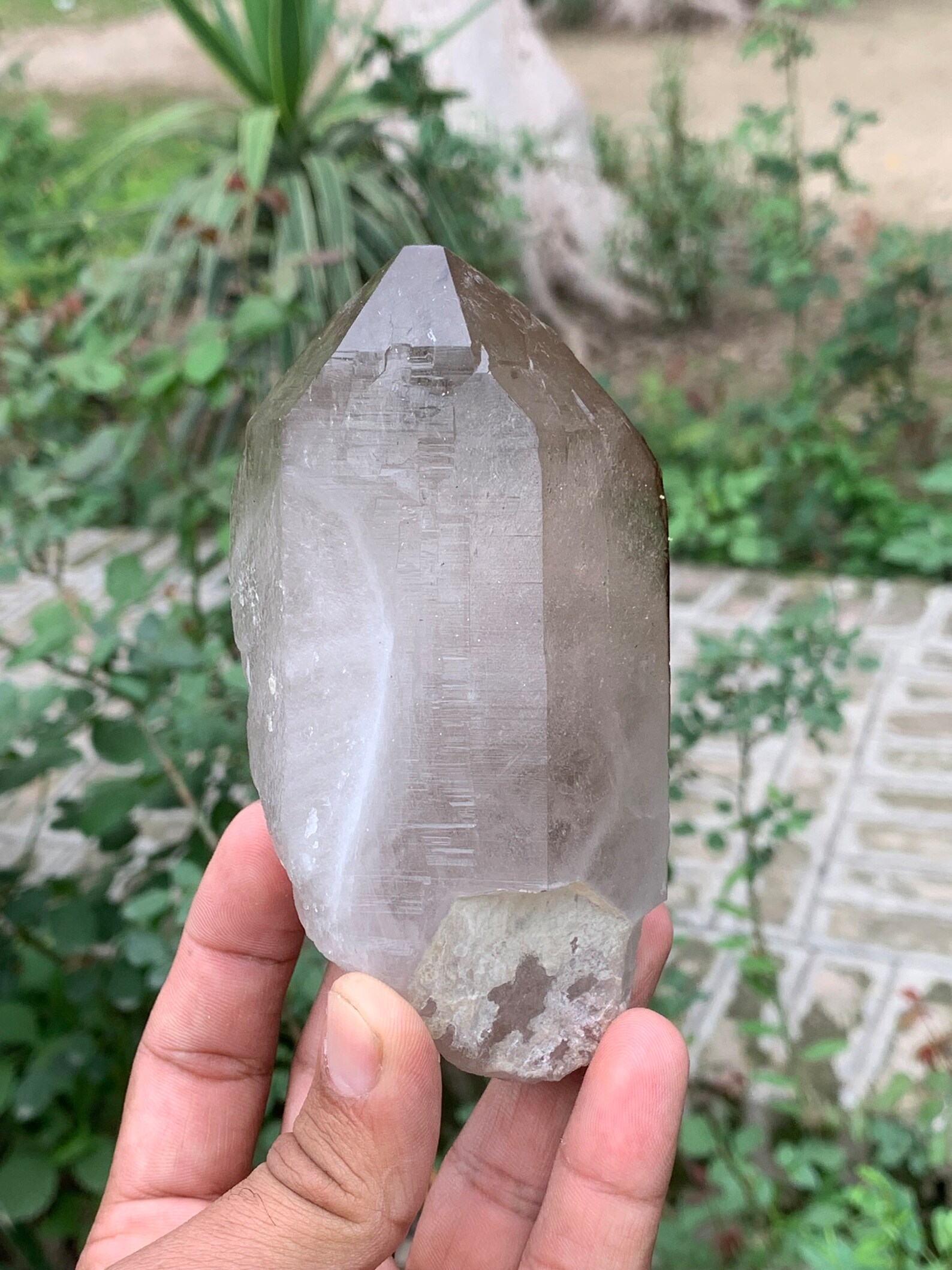 Himalayan Smokey Quartz Crystal Having Sharp Lustre From Skardu ...
