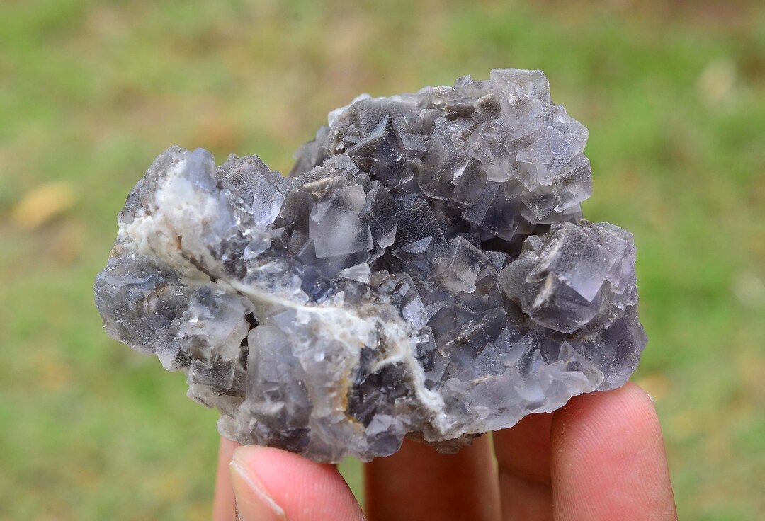 Cubic Blue Fluorite Crystals Bunch Fluorite Cubic Crystals Specimen ...
