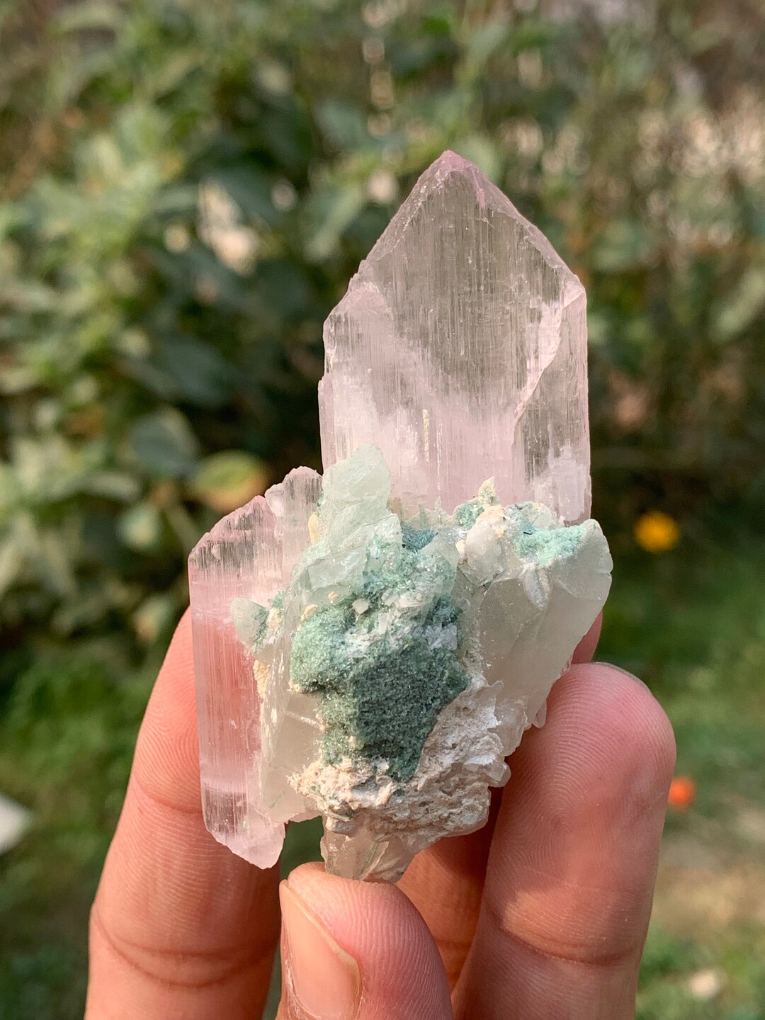 Aesthetic Pink Terminated Spodumene Var Kunzite Crystal With Quartz ...