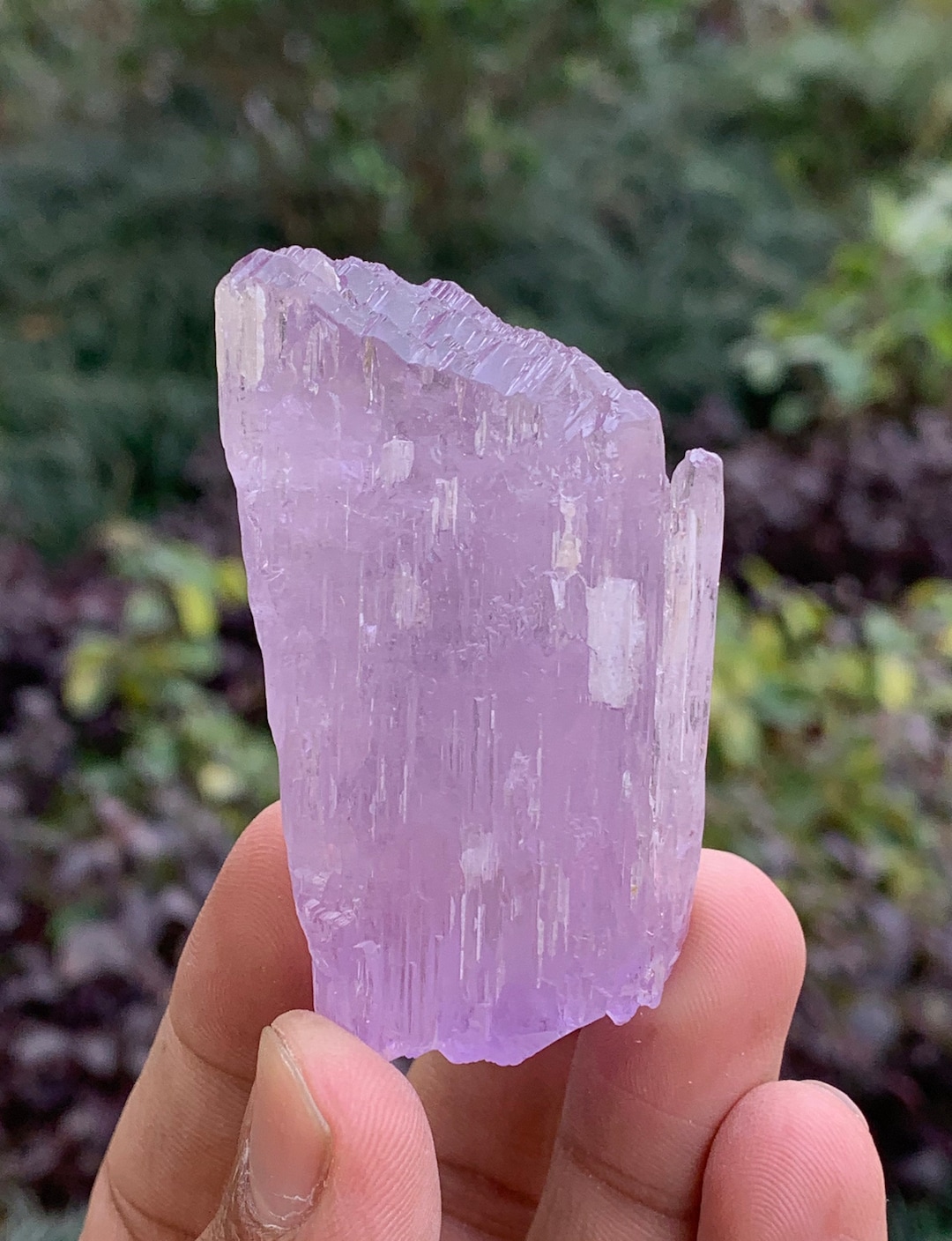 Spodumene Var Pink Kunzite Etched & Floater Kind of Terminated ...
