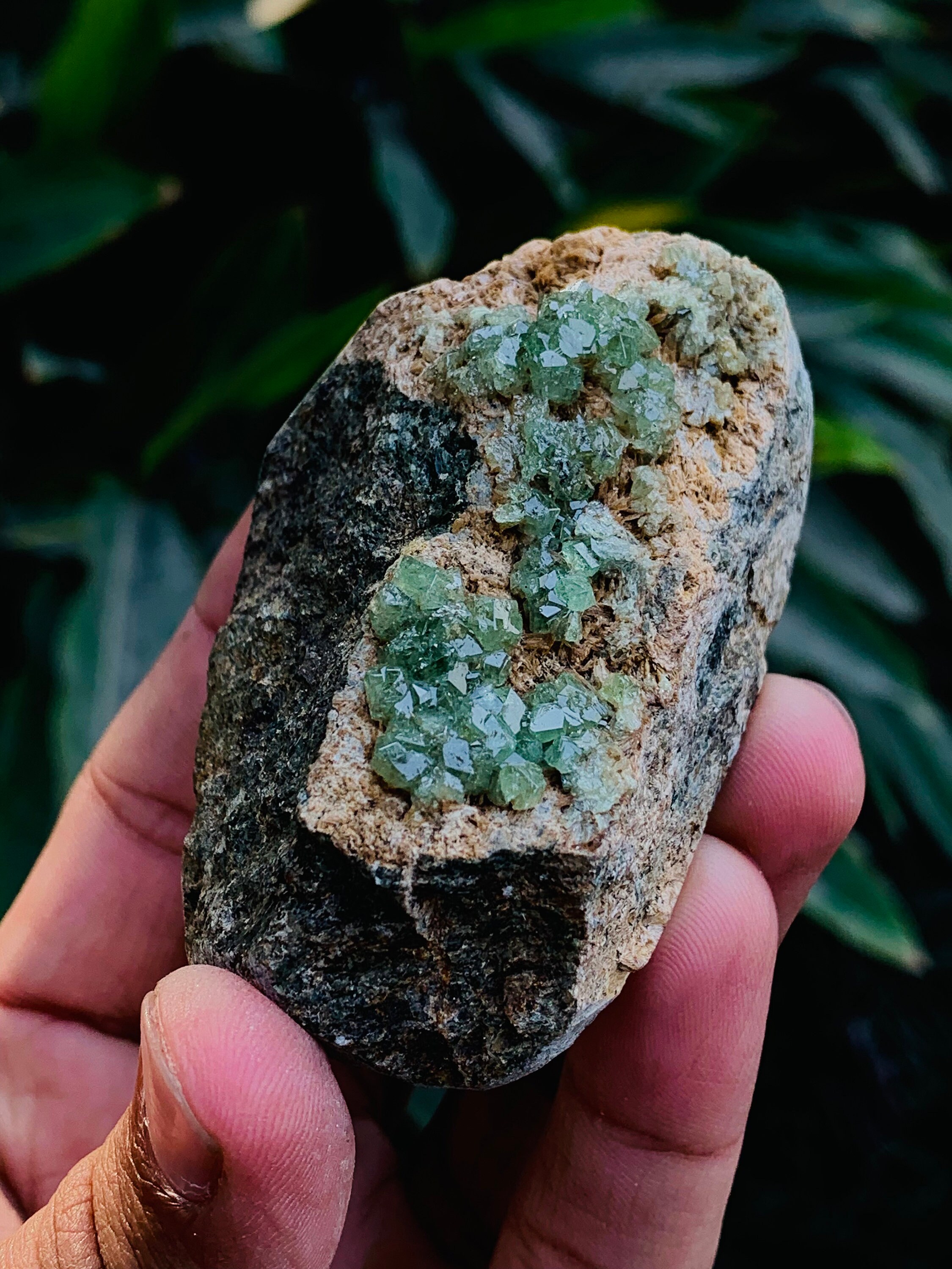 Light Green Demantoid Garnet Crystal Bunch on Mother-rock From ...