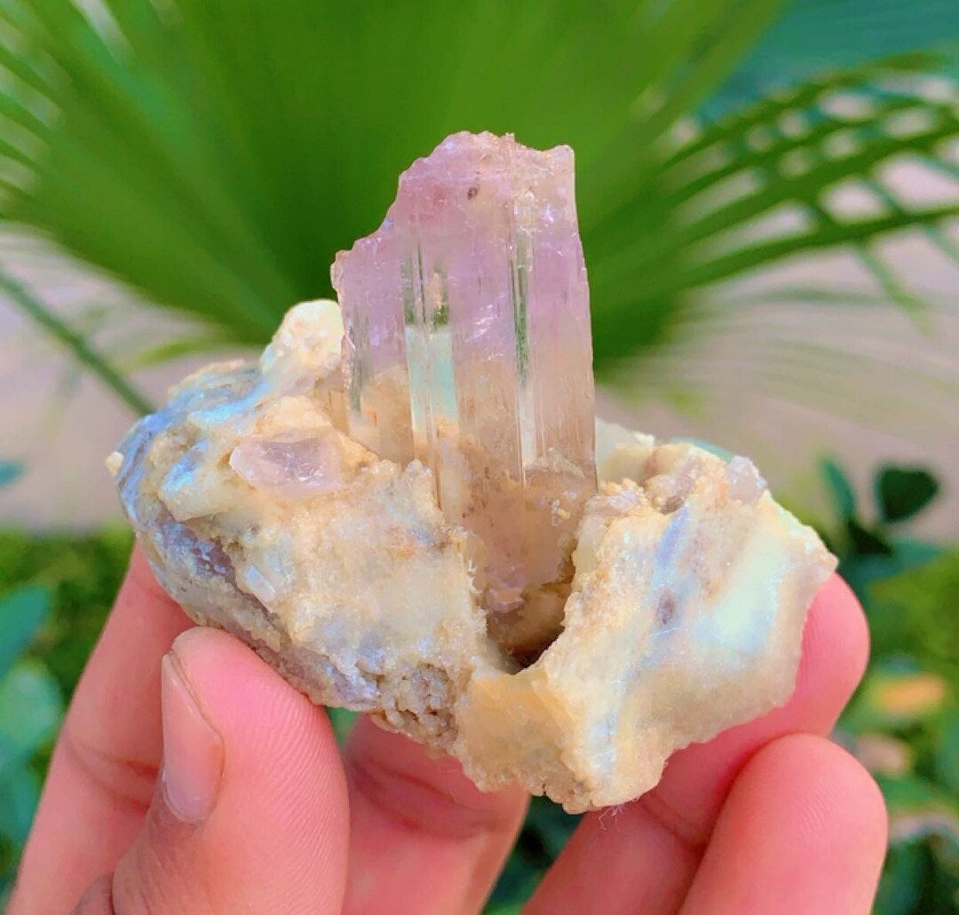 Etched Pink Spodumene Var Kunzite Crystal Standing on Calcite & Mother ...