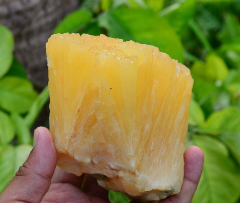 Yellow / Golden Aragonite Crystals Bunch Combine Specimen rare Yellow ...