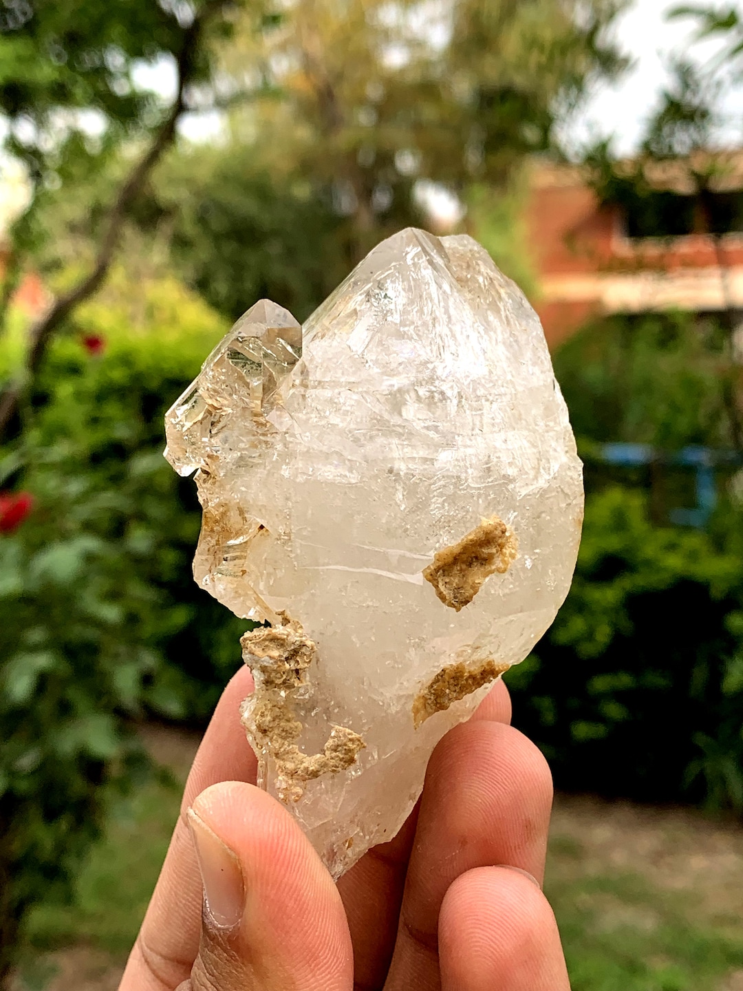 Skeletal Quartz / Window Quartz / Fenster Quartz With Clay Inclusions ...