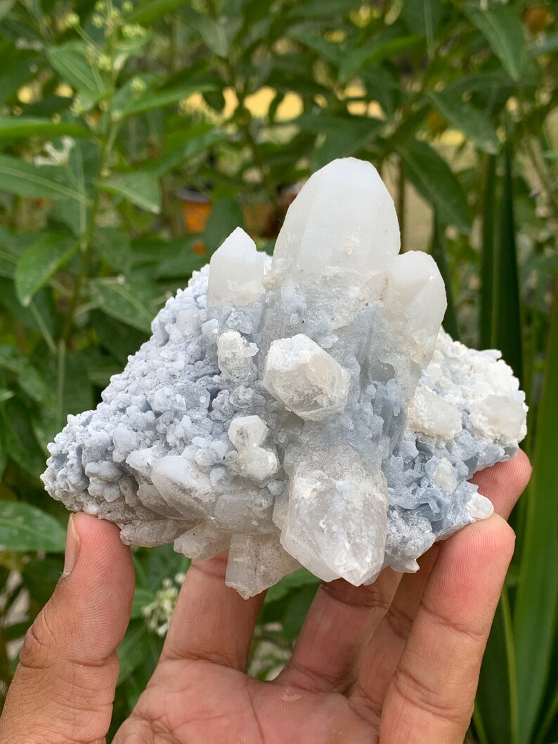 Extremely Rare Blue Quartz & Milky Quartz Crystals Cluster / Quartz ...