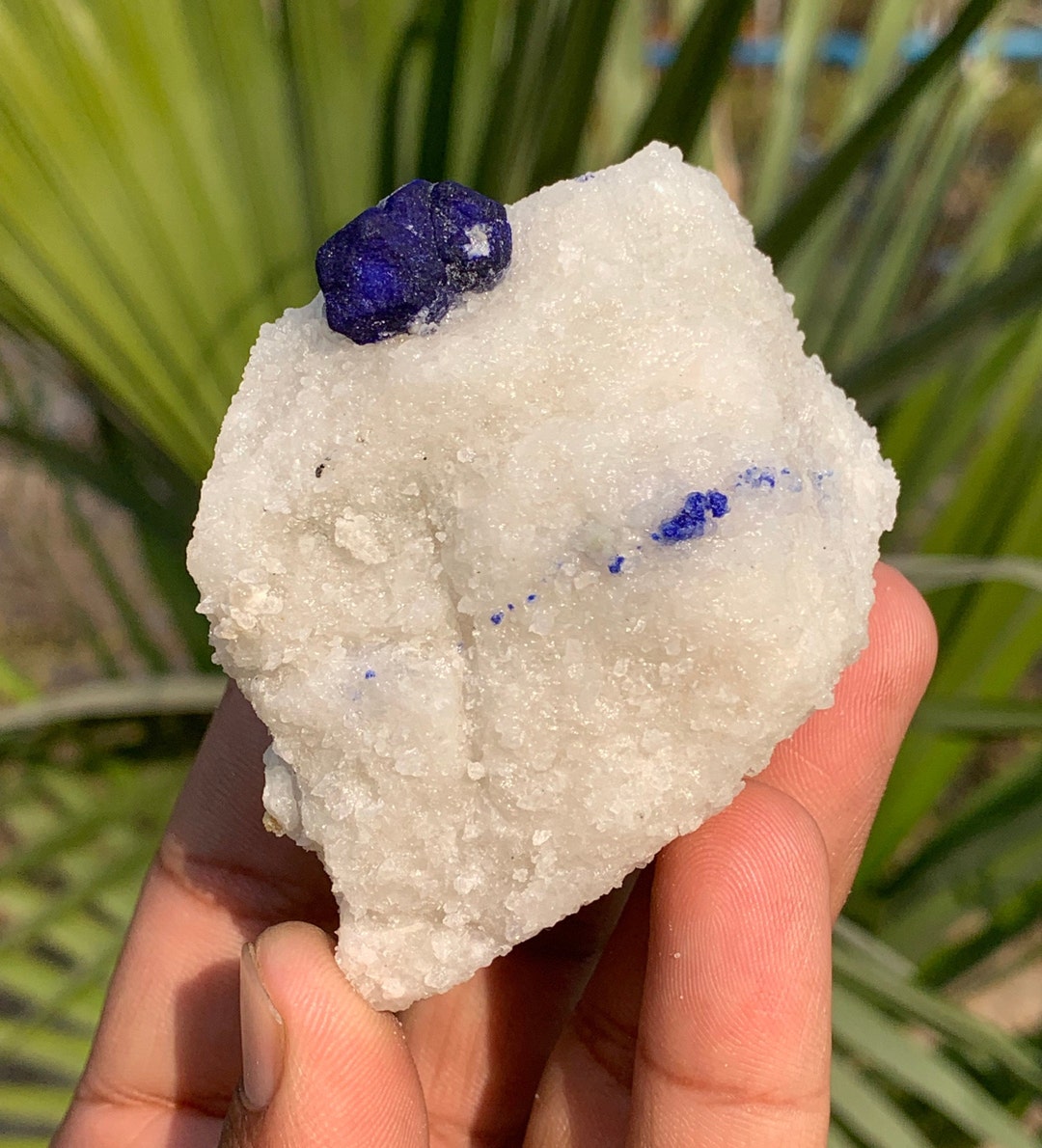 Rich Blue Lazurite Terminated Crystal With Milky White Calcite & Pyrite ...