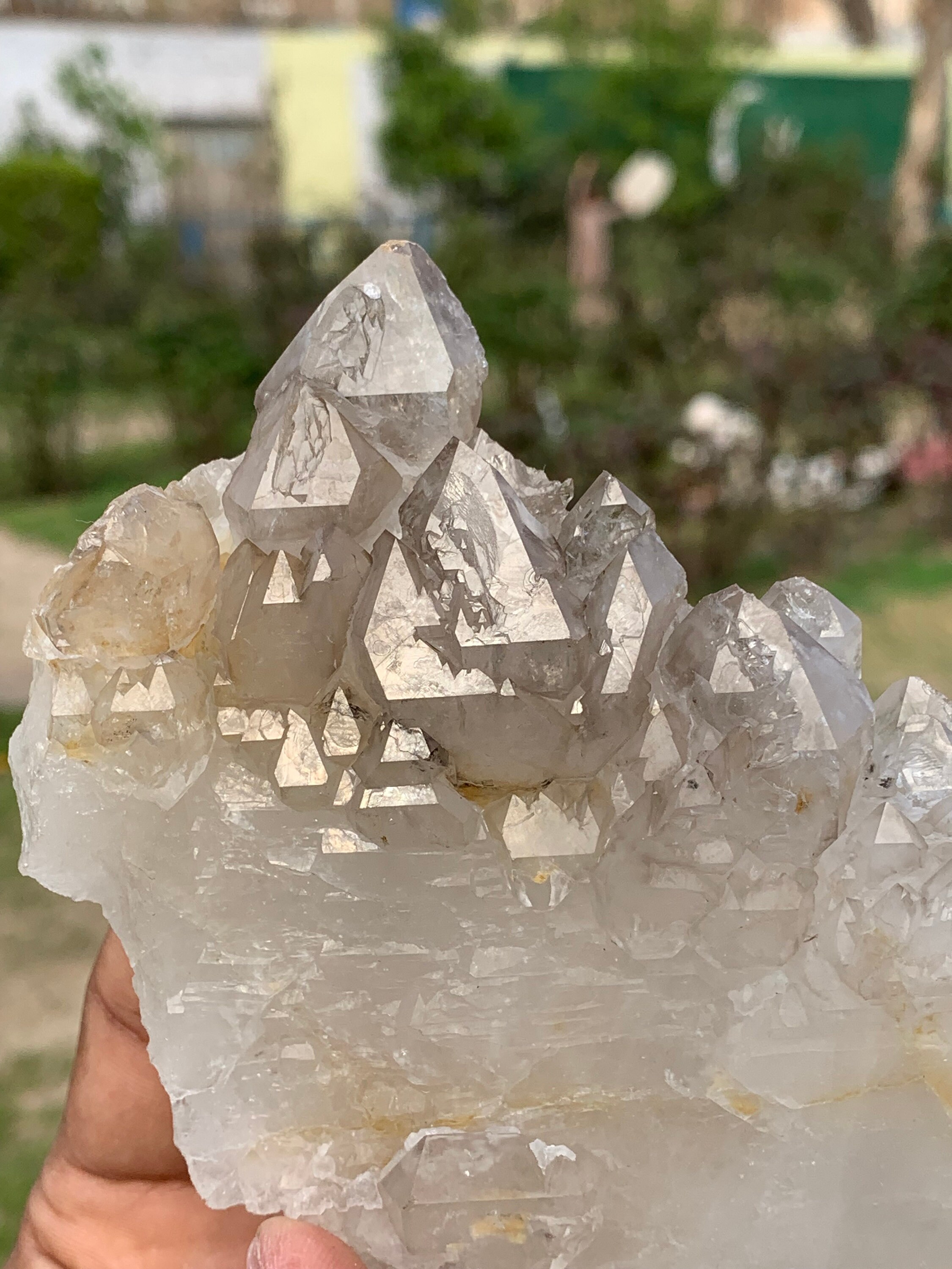 Elestial Smoky Quartz Crystals Bunch Specimen Having Sharp Lustre From ...