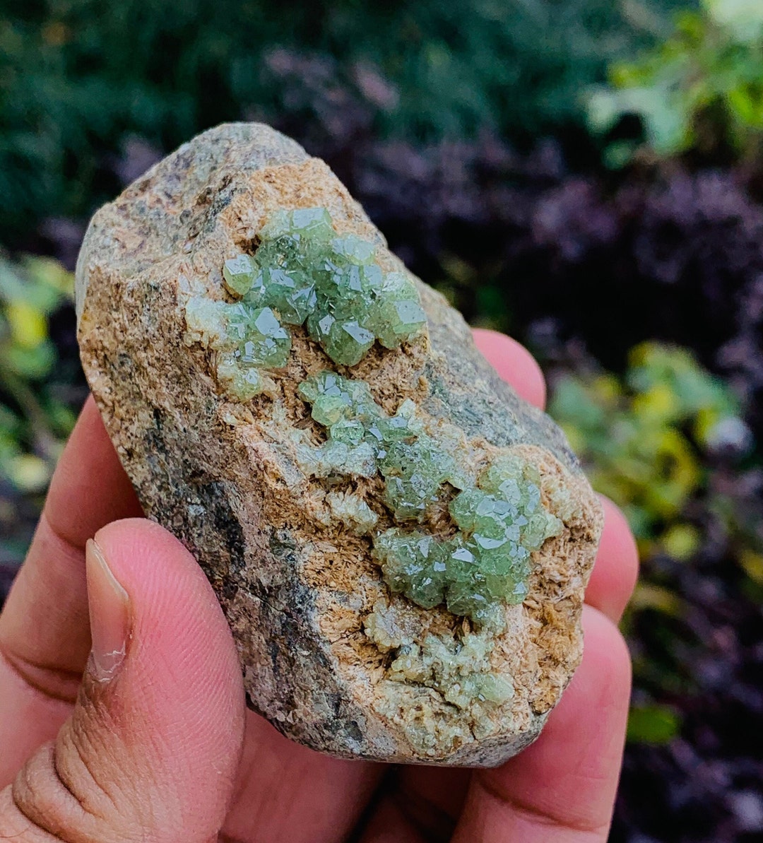 Light Green Demantoid Garnet Crystal Bunch on Mother-rock From ...