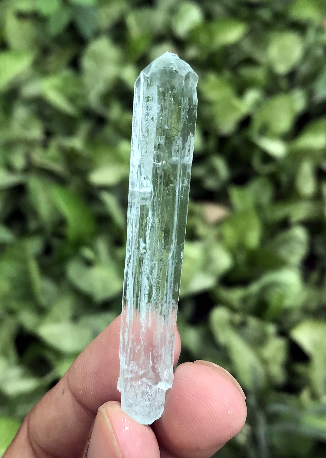 Etched Beryl Var Blue Aquamarine Scepter Fully Terminated Rare Crystal ...