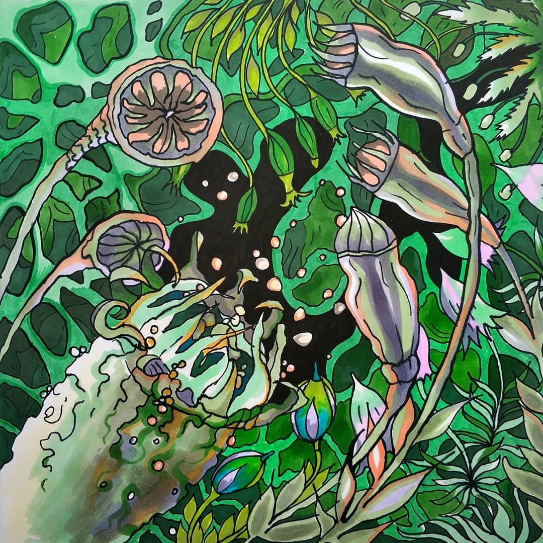 Hand-drawn, Print, Postcard, Moss, Botanical Illustration, Green Colour ...