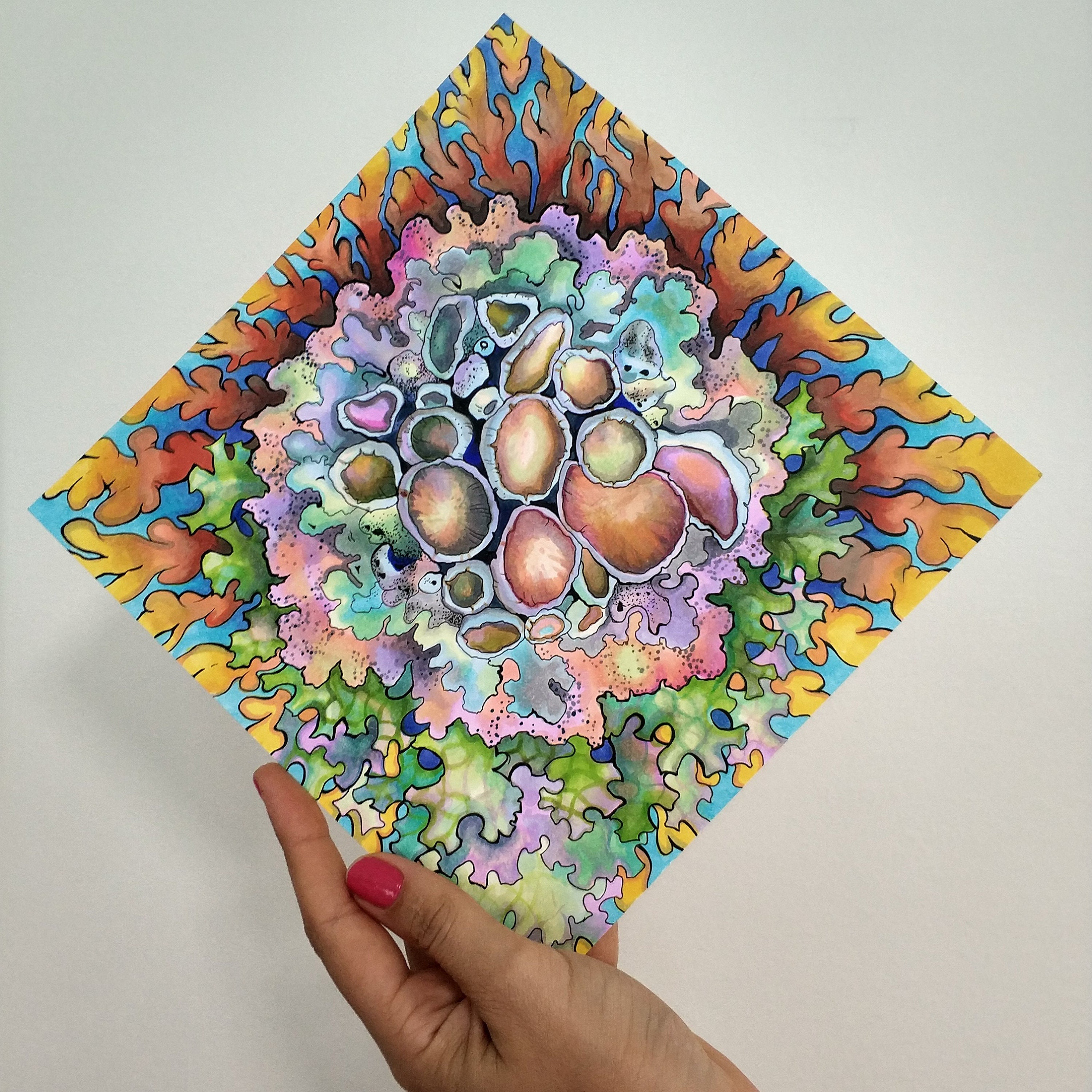 Printpostcard Lichen Drawing Botanical Illustration Nature - Etsy