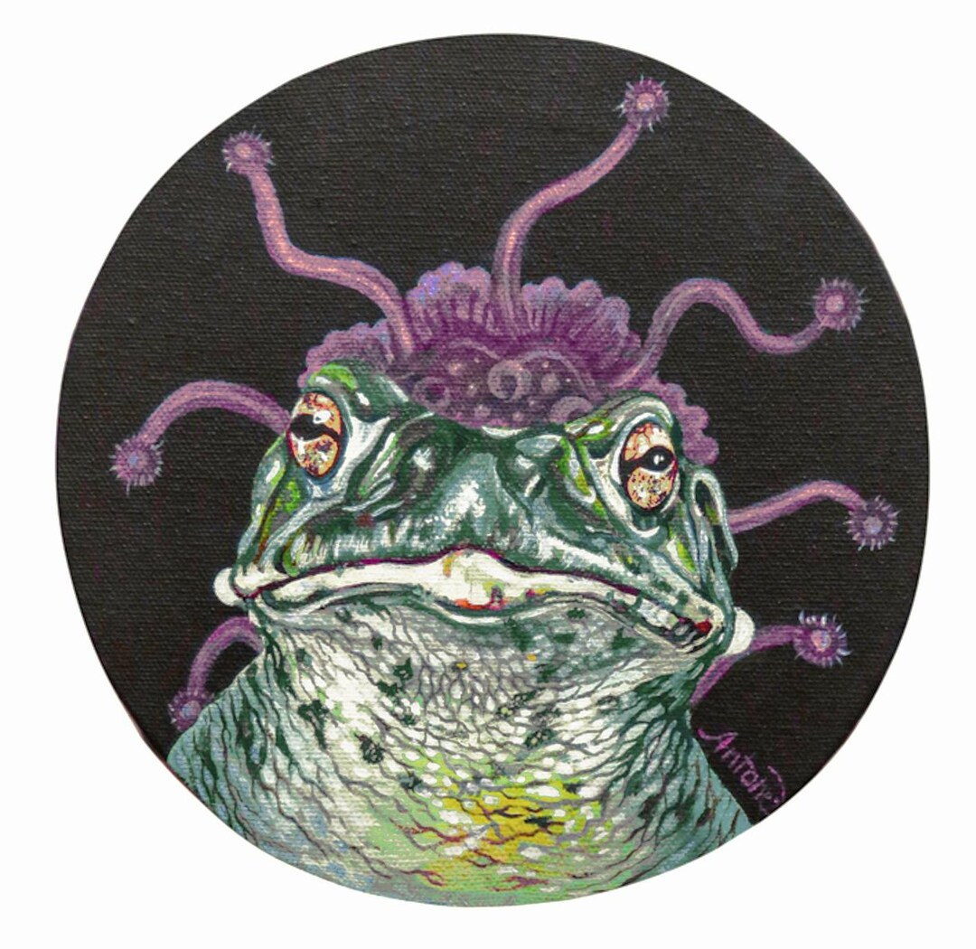 Froggie Painting, Original Artwork, Toad Art,froggie Artwork,gift Idea ...