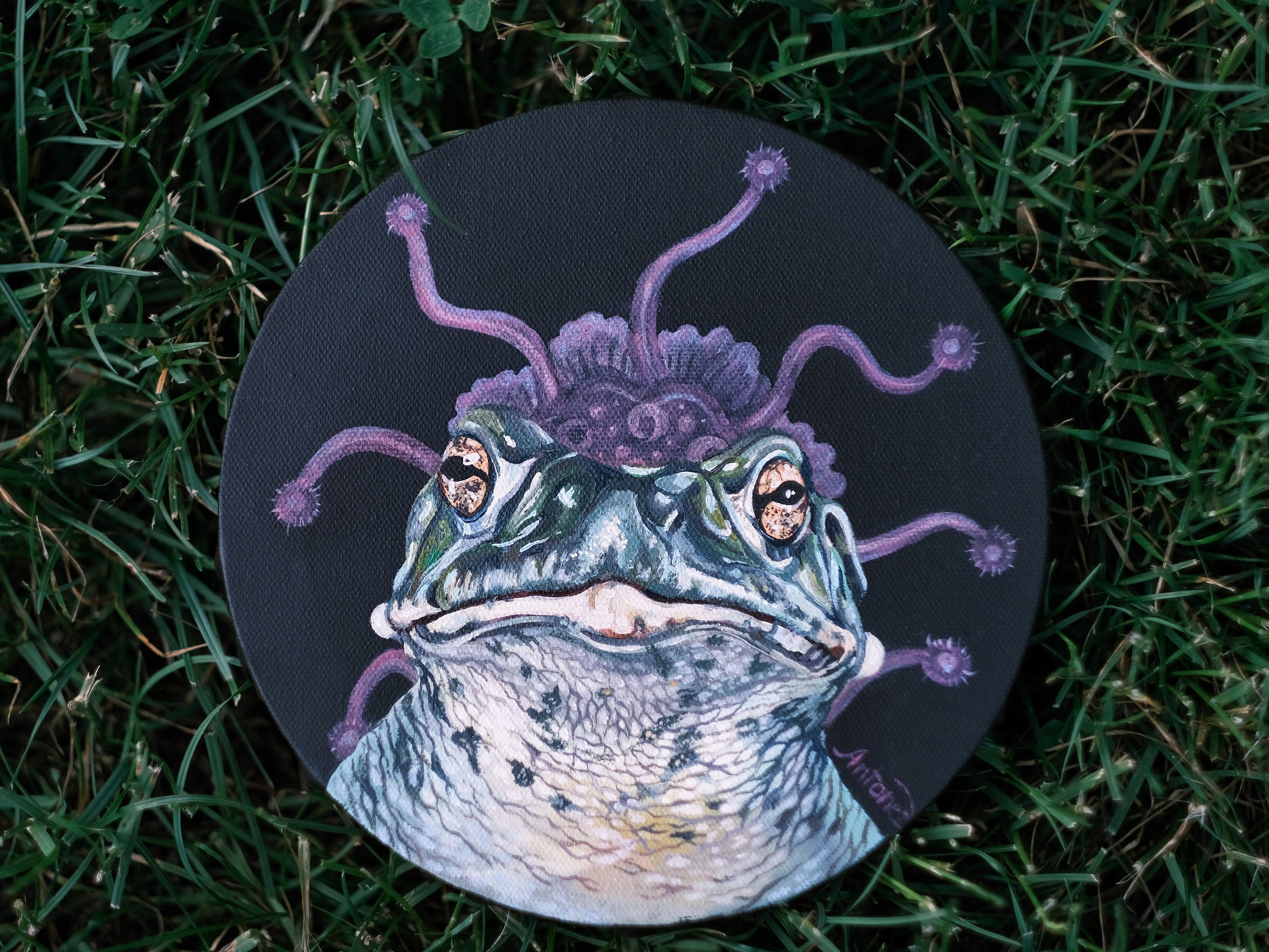 Froggie Painting, Original Artwork, Toad Art,froggie Artwork,gift Idea ...