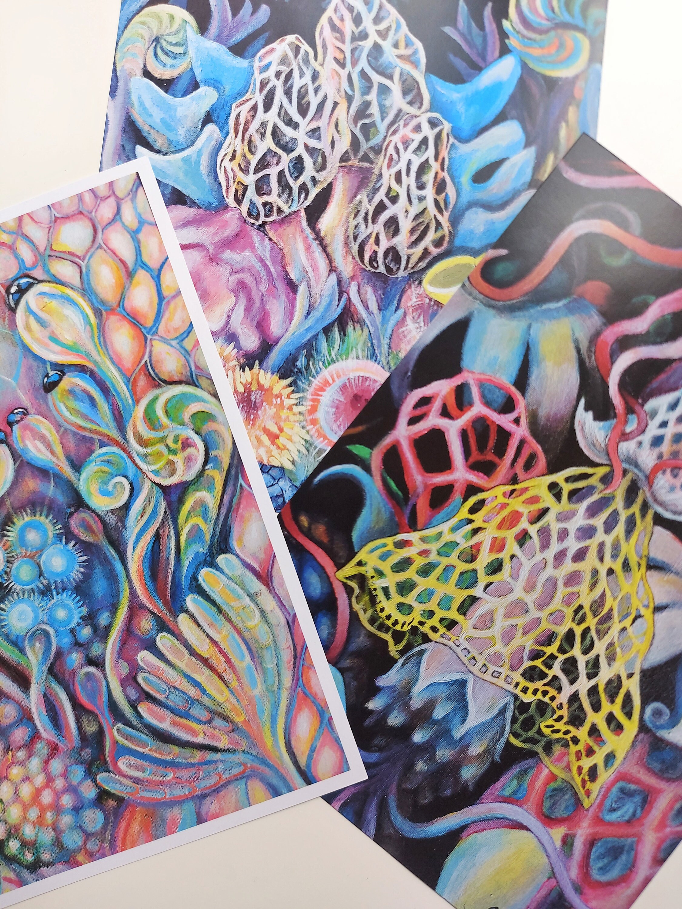 Print Collection Fungi Poster Mushroom Botanical - Etsy