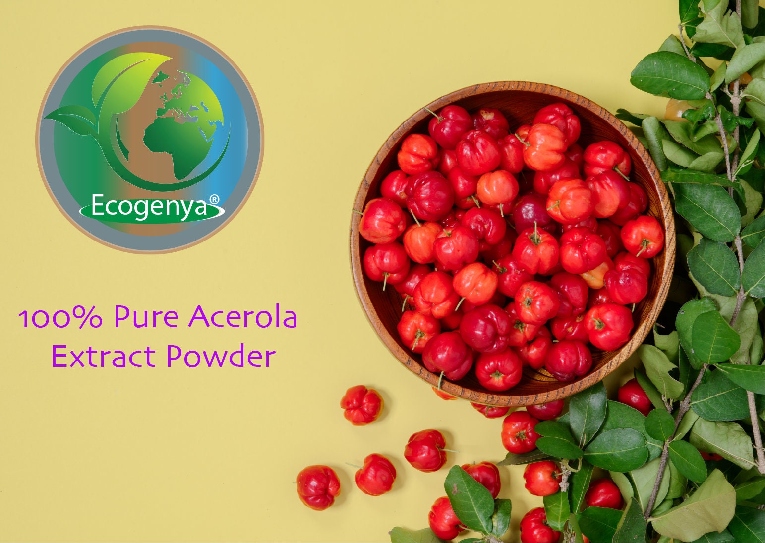 Organic Acerola Your New Go-to for Vitamin C Tasty Barbados Cherry ...