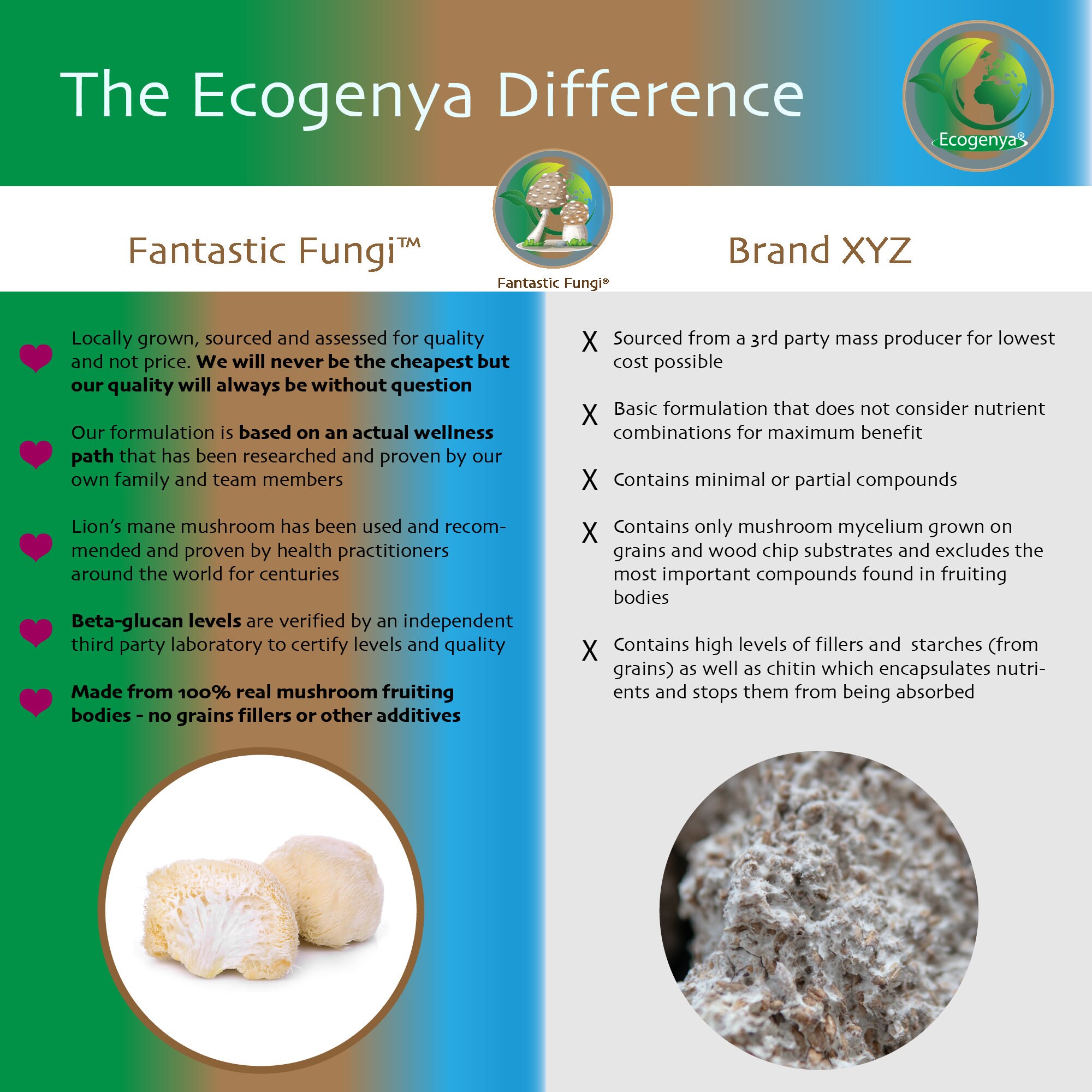 Organic 'super Seven' Mushroom Extract Blend Lions - Etsy