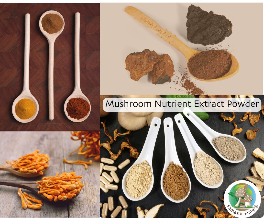 Mushroom Nutrient Extract - Custom Blended Powder Complex Made Fresh ...