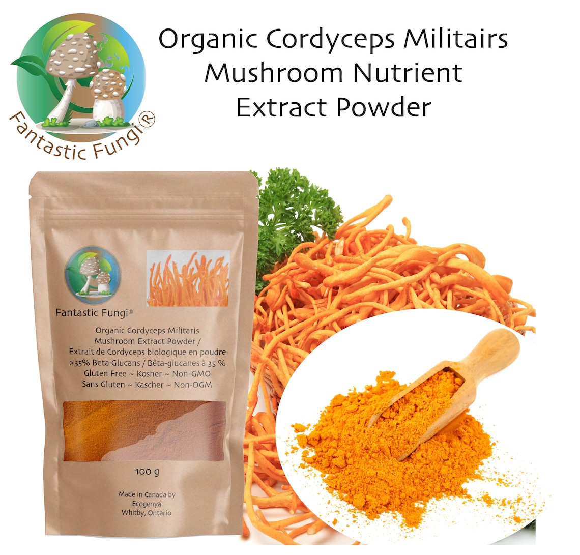 Organic Cordyceps Militaris Mushroom Extract Powder / Extrait - Etsy Canada