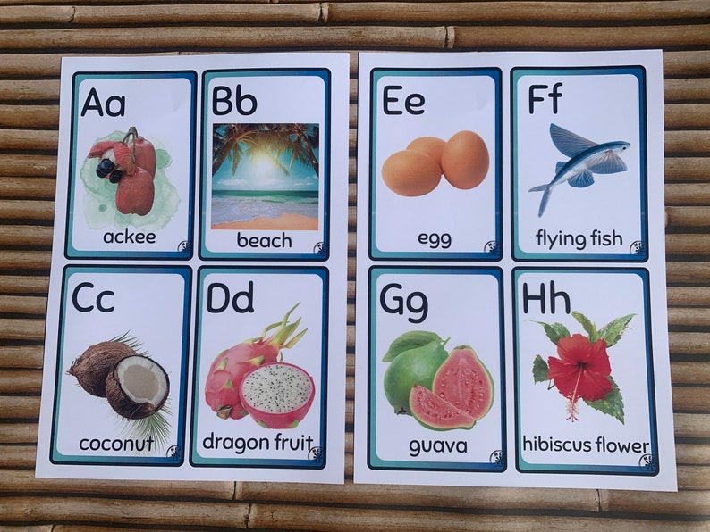 Caribbean Alphabet Flash Cards Pre-school Cards Educational Printable ...