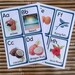 Caribbean Alphabet Flash Cards | Pre-school Cards | Educational ...