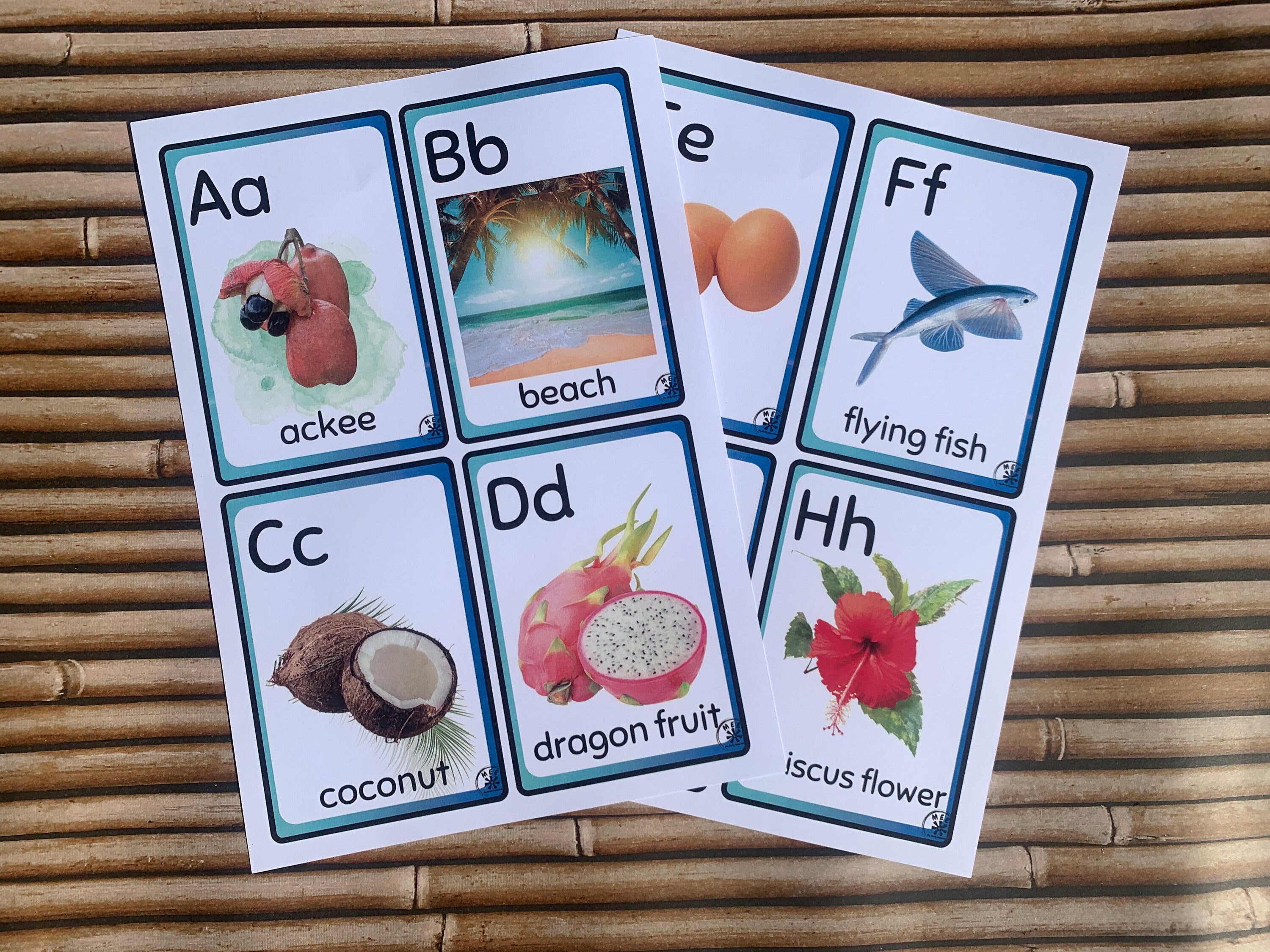 Caribbean Alphabet Flash Cards Pre-school Cards Educational Printable ...