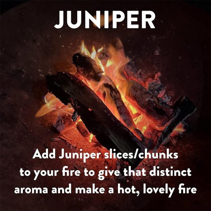 Double Tree Forest Products Campfire Wood Bundle Ready-flame Pinion ...