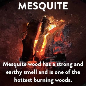 Double Tree Forest Products Campfire Wood Bundle Ready-flame Pinion ...
