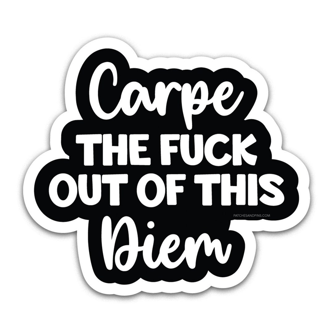 Carpe Diem Sticker, Waterproof Sticker, Christmas Gift, Water Bottle ...