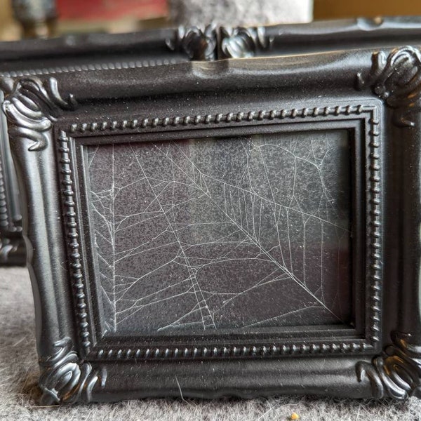 Framed Spider Web - Etsy