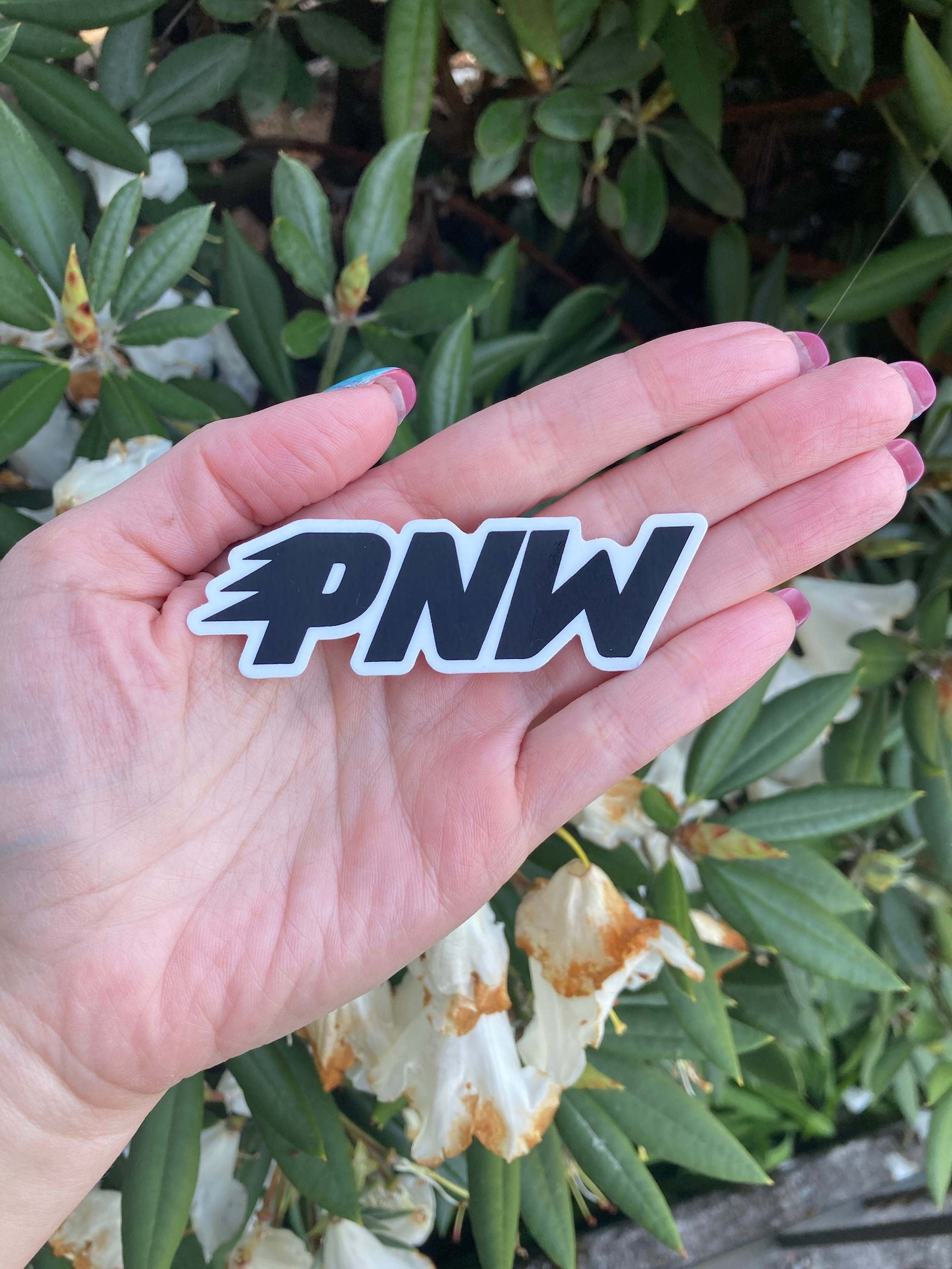 Pacific Northwest Sticker, Vinyl Stickers, PNW, Northwest, Washington ...