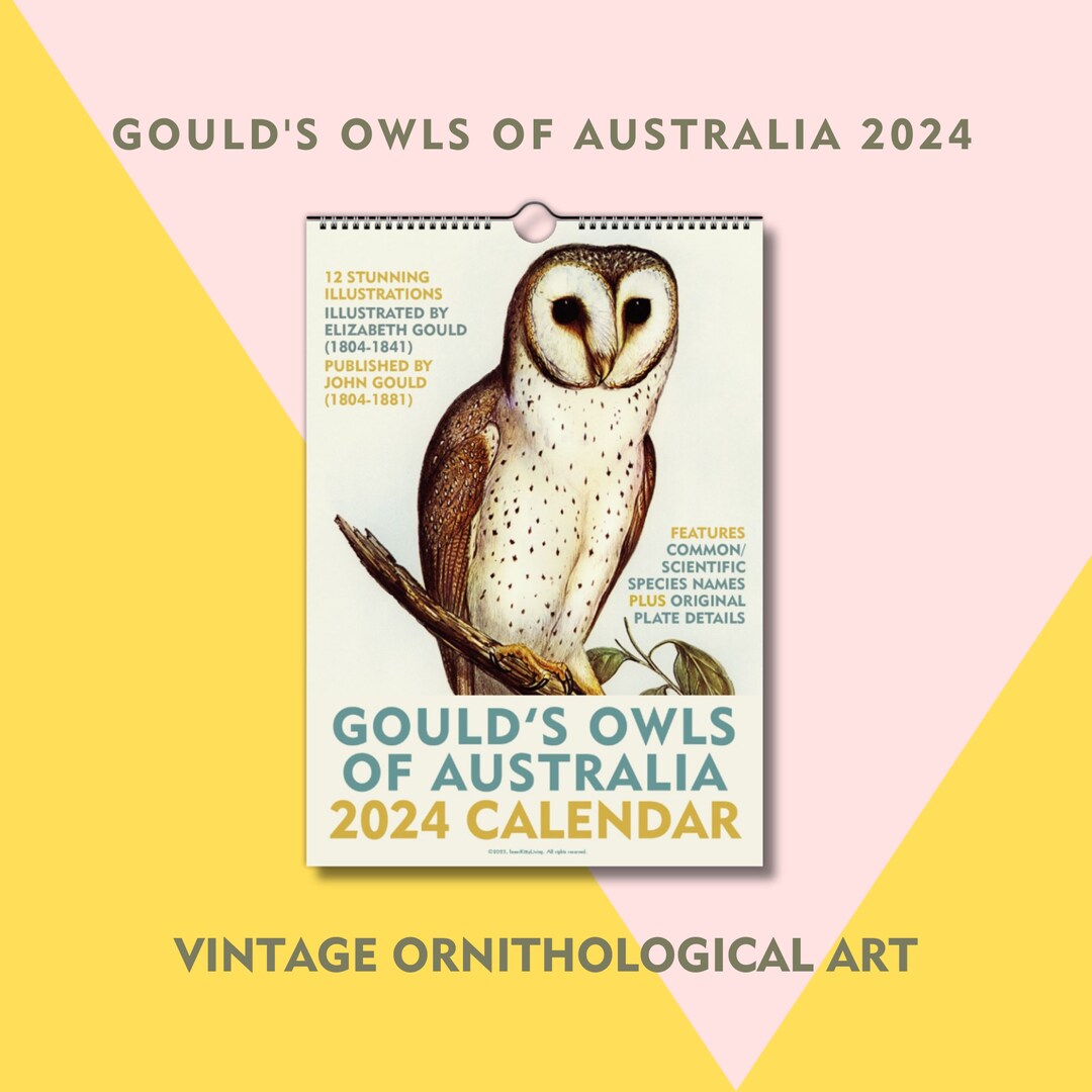 2024 Gould's Owls of Australia Calendar, Illustrations by Elizabeth ...