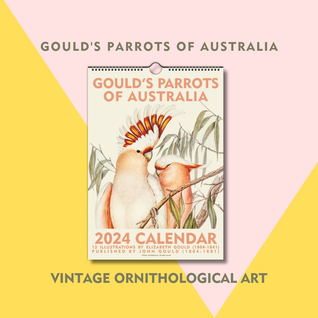 2024 Parrots of Australia Calendar, Vintage Art From Gould's Birds ...
