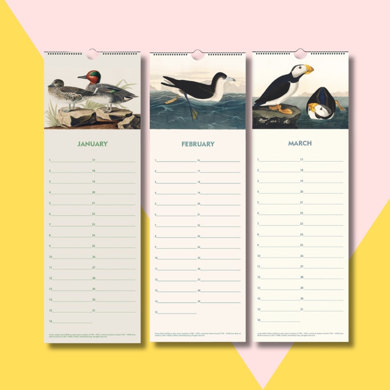 Birds of America Birthday Perpetual Calendar, Vintage Art, John James ...