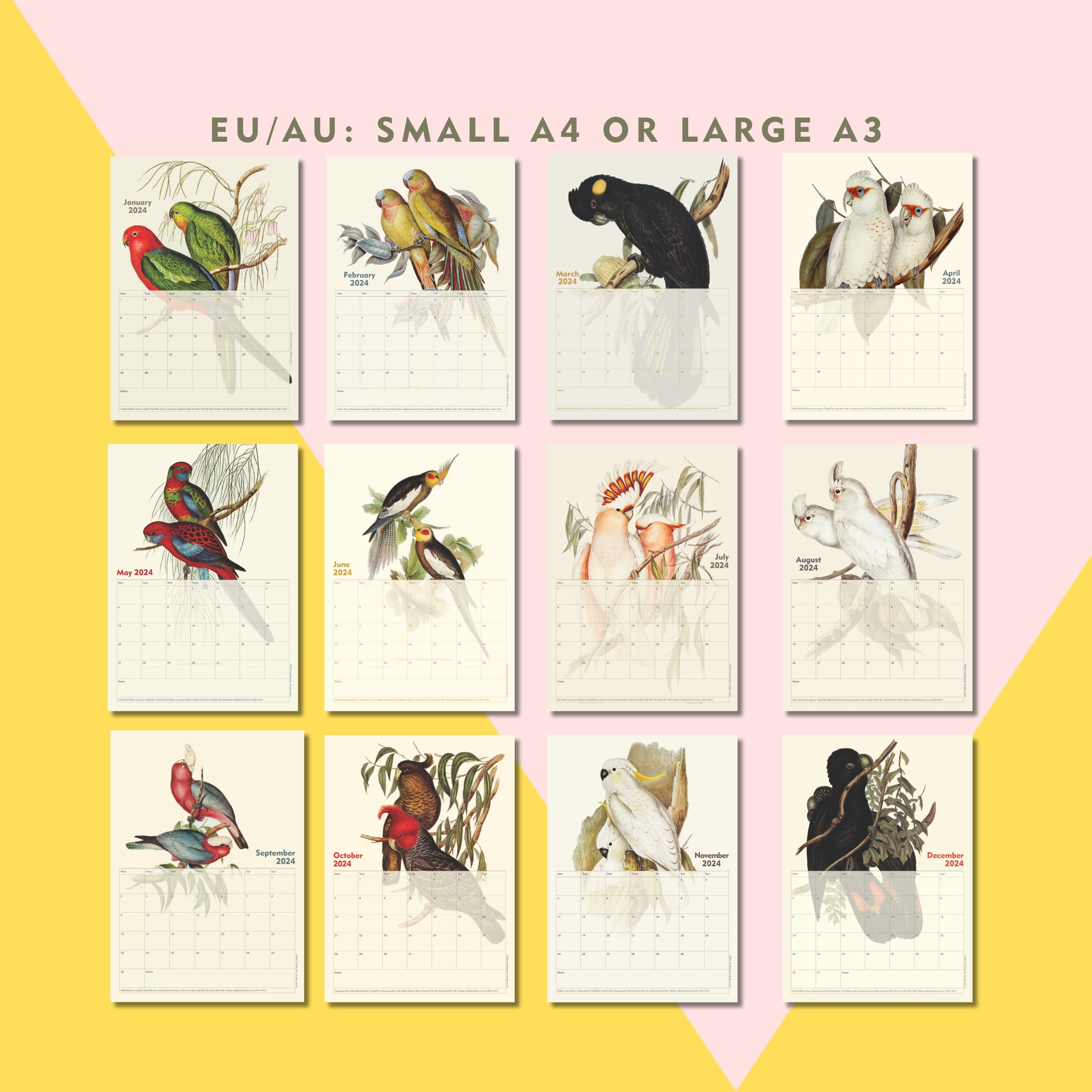 2024 Parrots of Australia Calendar, Vintage Art From Gould's Birds ...