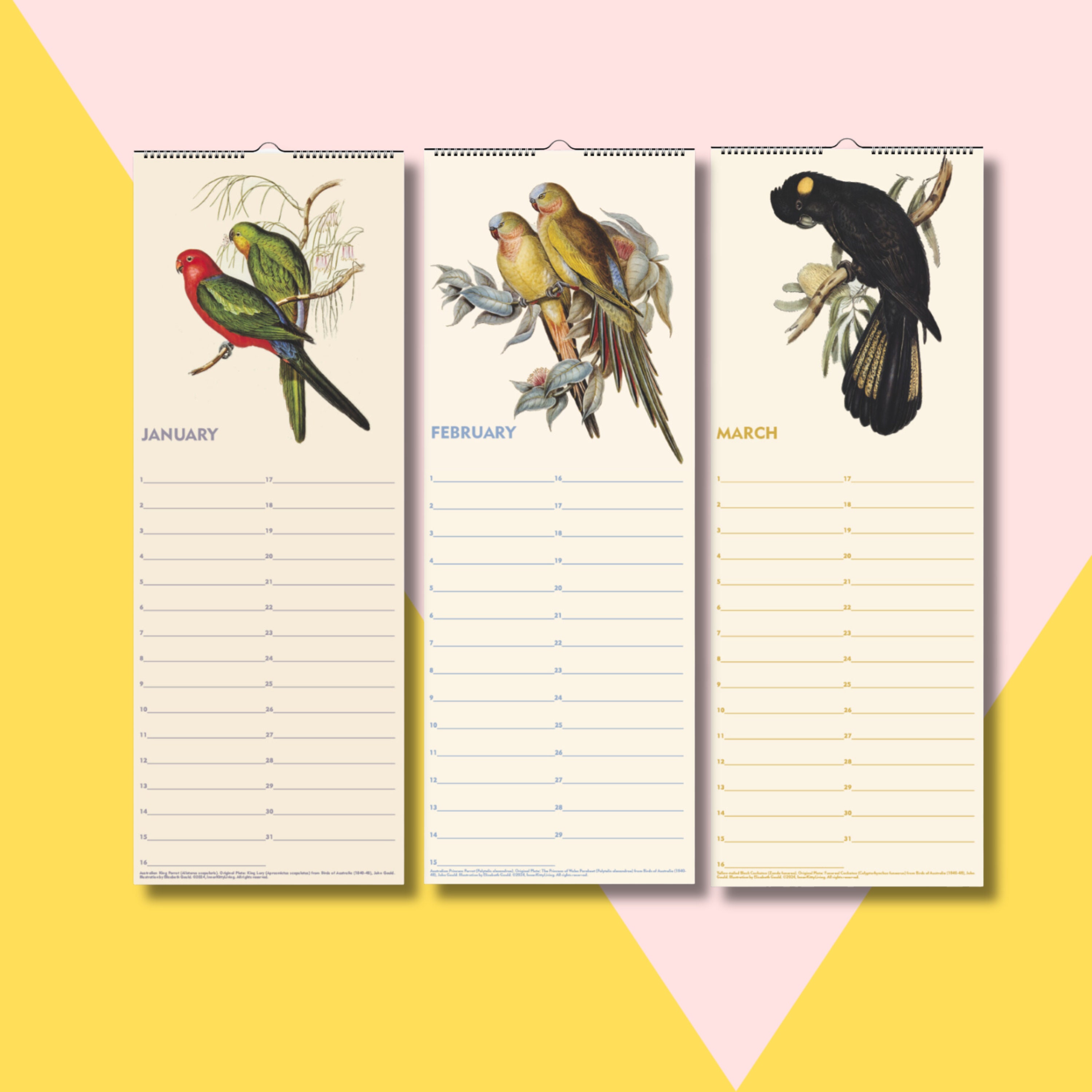 Parrots of Australia Perpetual Calendar: Vintage Bird Art Gift - Etsy
