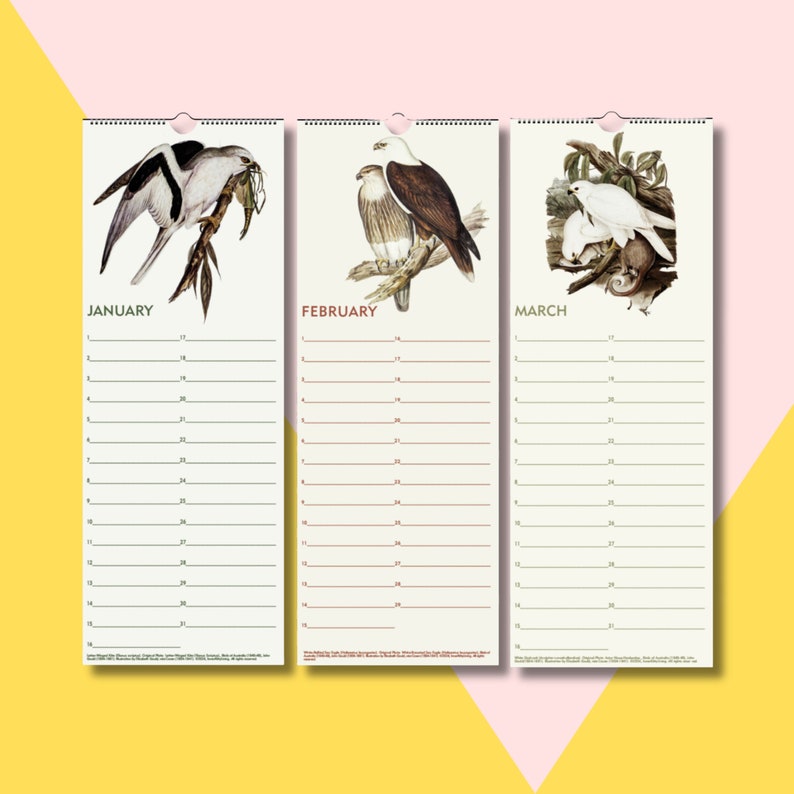 Kites Hawks and Eagles, Birthday Perpetual Calendar, Vintage Art, Gould ...