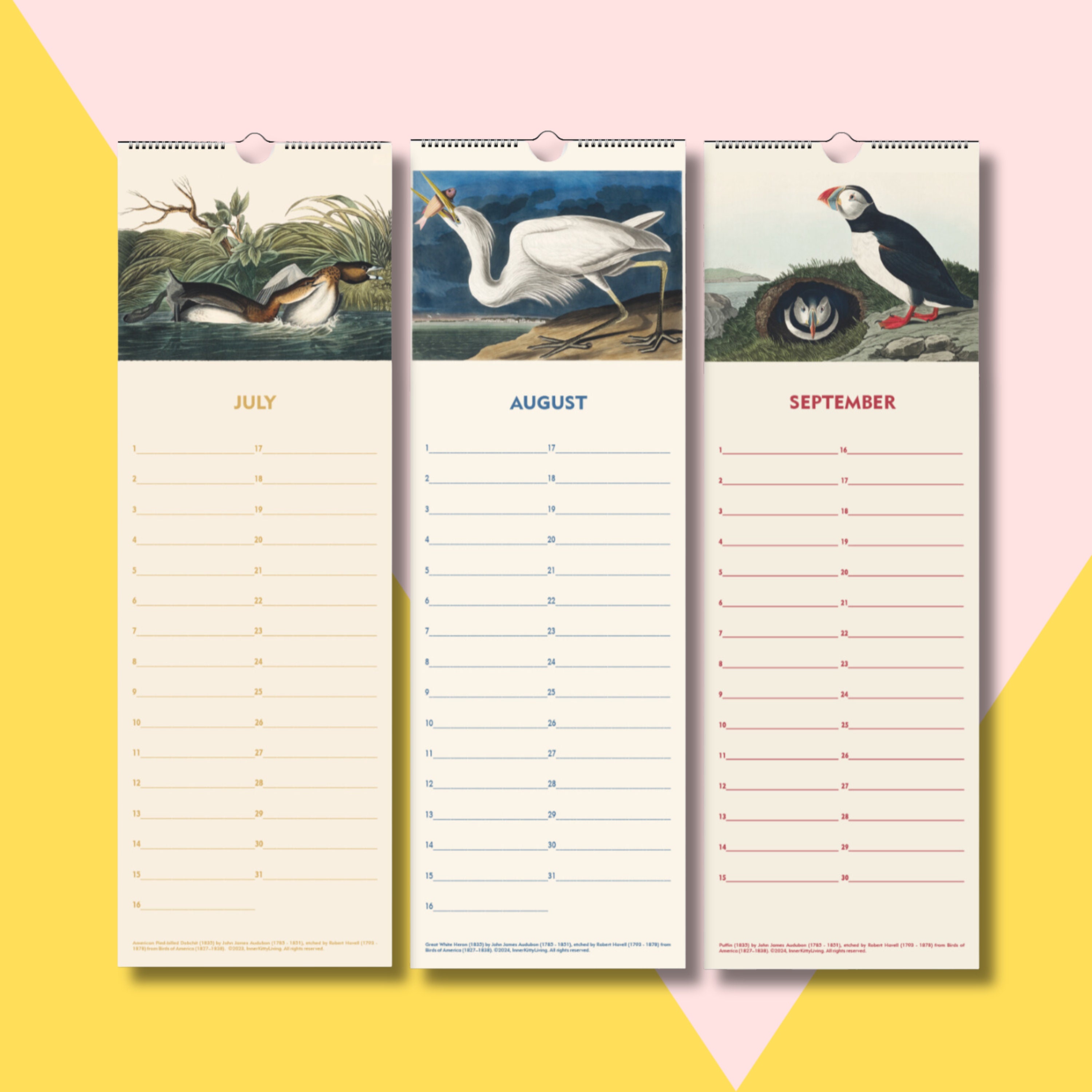 Birds of America Birthday Perpetual Calendar, Vintage Art, John James ...
