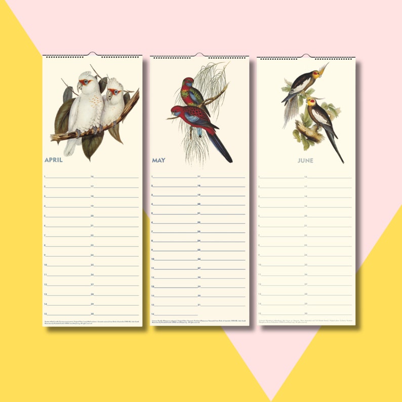 Parrots of Australia Perpetual Calendar: Vintage Bird Art Gift - Etsy