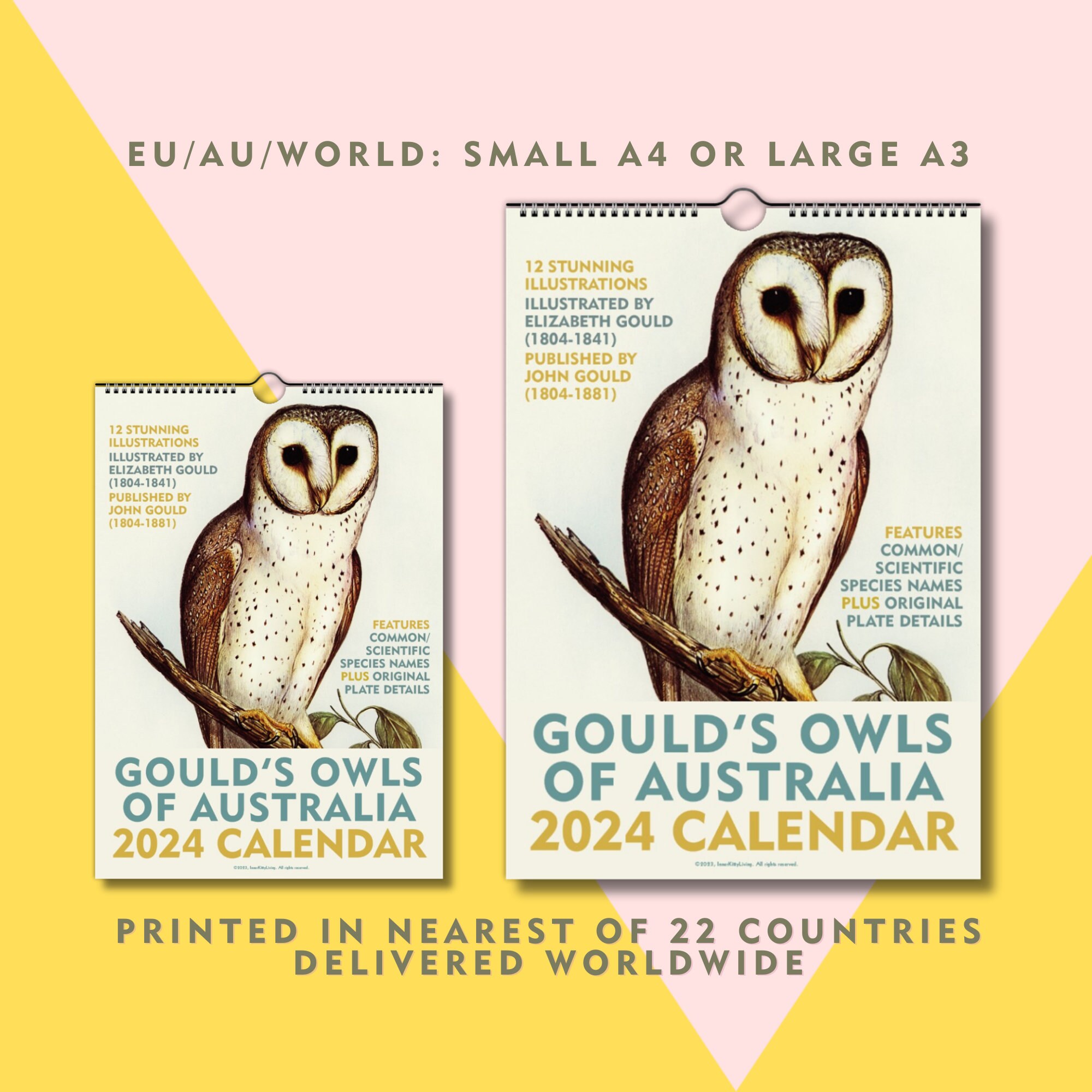 2024 Gould's Owls of Australia Calendar, Illustrations by Elizabeth ...