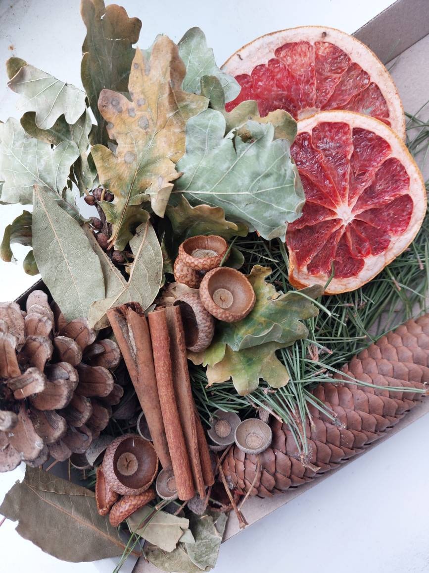 Woodland, Luxury Pot Pourri, Forest Inspired Home Decor Country ...