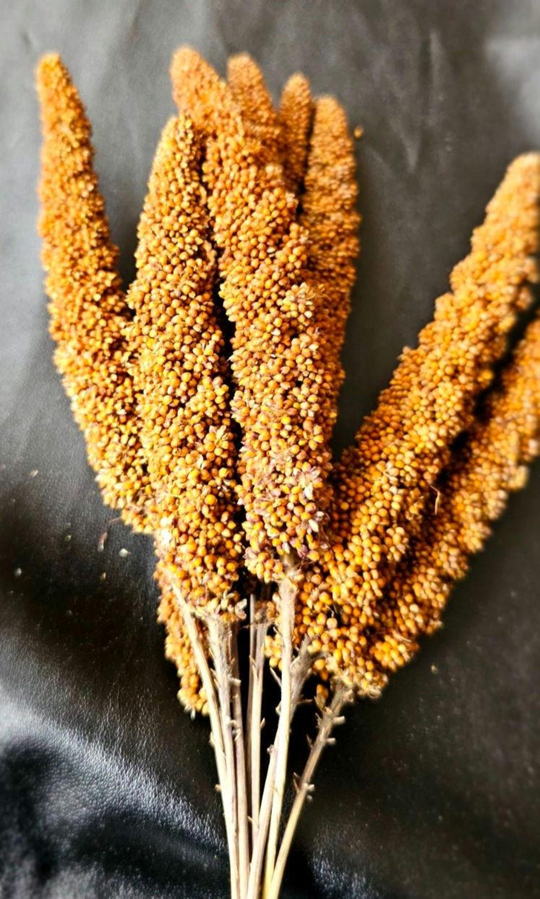 150g Organic Millet Sprays: Hamster & Bird Treats - Etsy