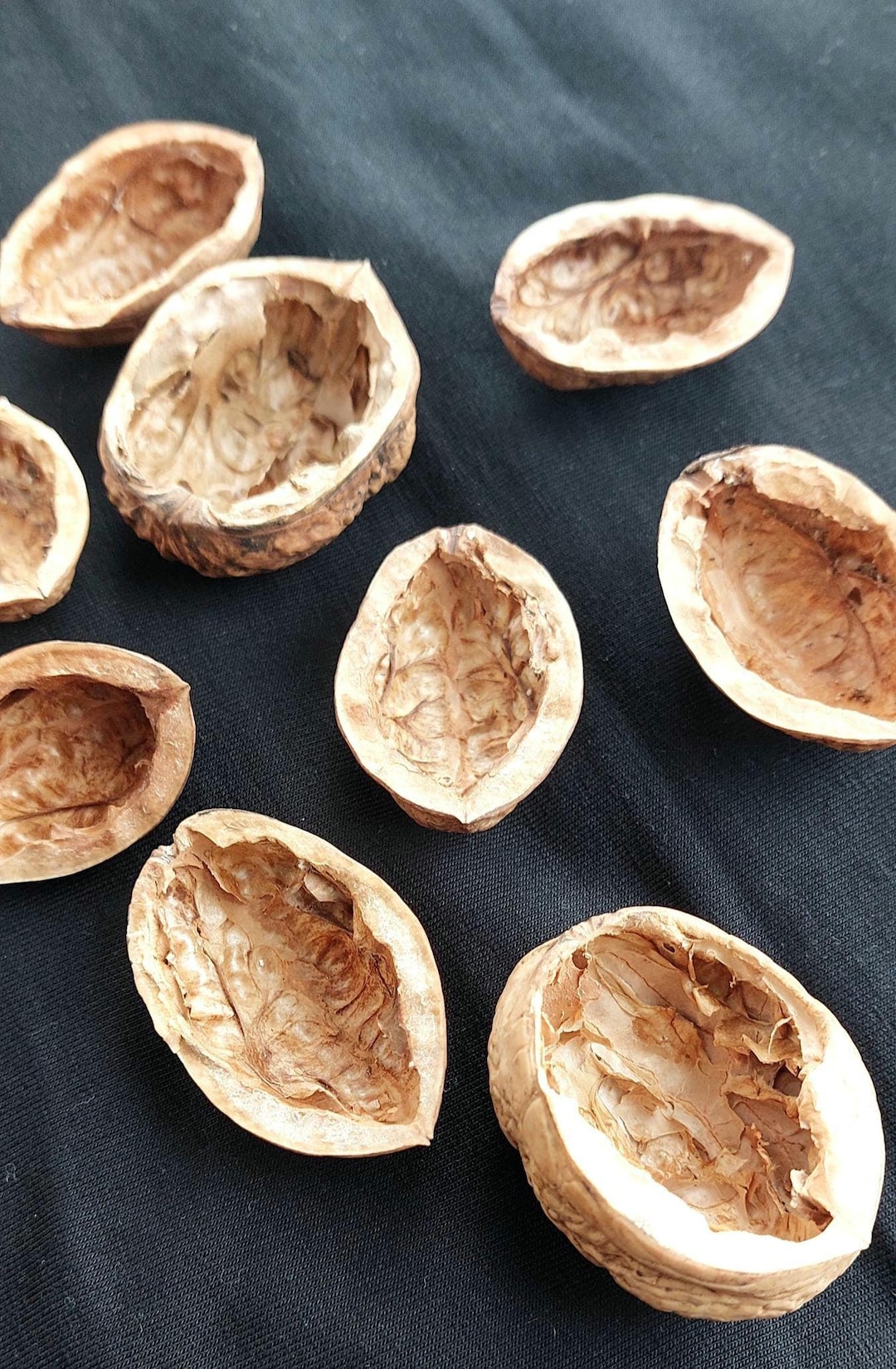 100 Pcs Walnut Shell Halves,walnut Halves Creativity,walnut Slices ...
