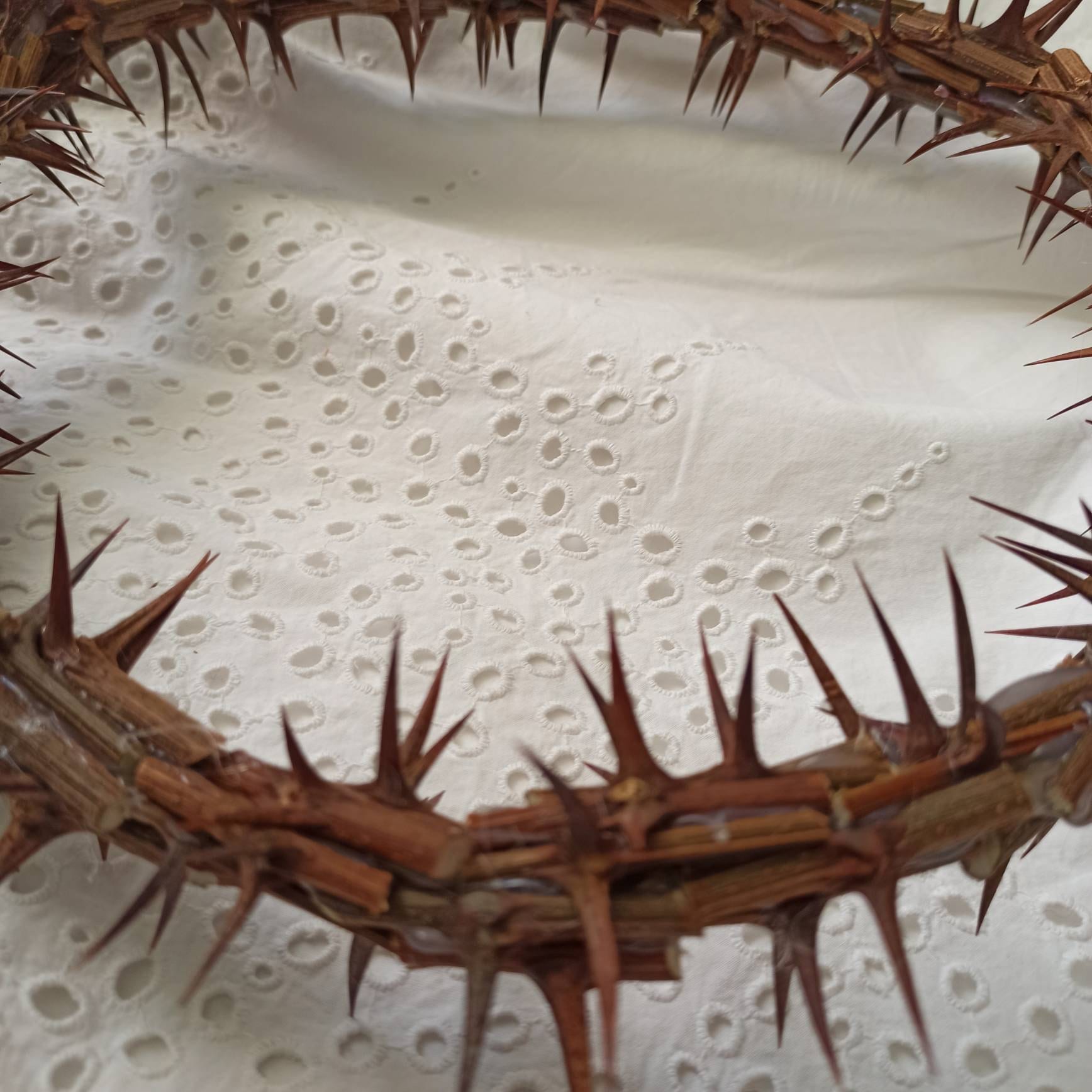 Sharp Real Thorn,jesus Christ Crown, - Etsy