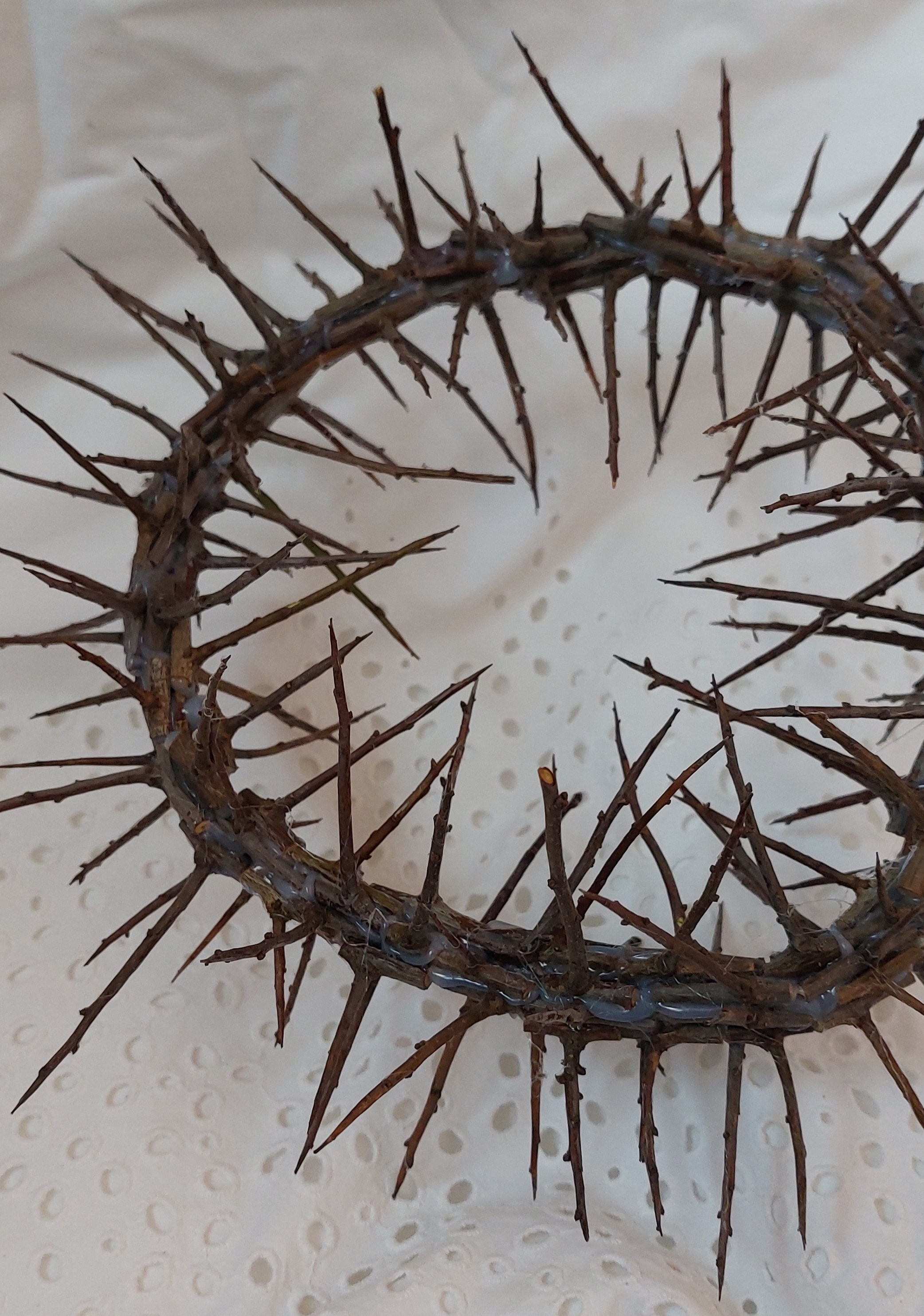 Sharp Real Thorn,jesus Christ Crown,thorns Crown Home Decor. Christ ...