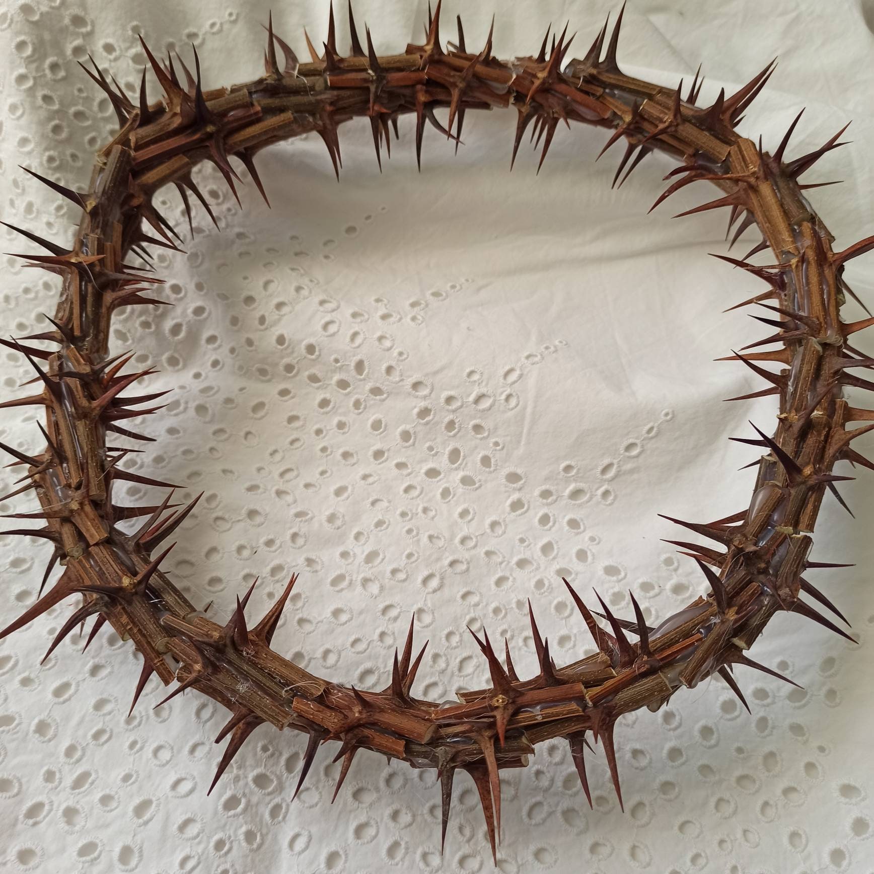Sharp Real Thorn,jesus Christ Crown, - Etsy