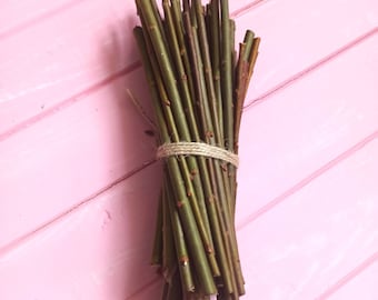 Organic Willow Sticks - Etsy